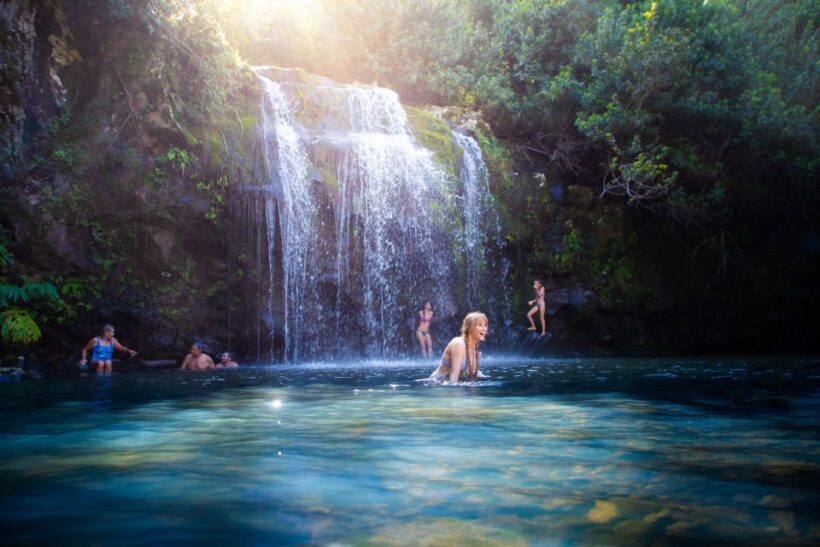 Big Island: Full-Day Kohala Zipline and Waterfall Adventure - Detailed Breakdown of the Experience