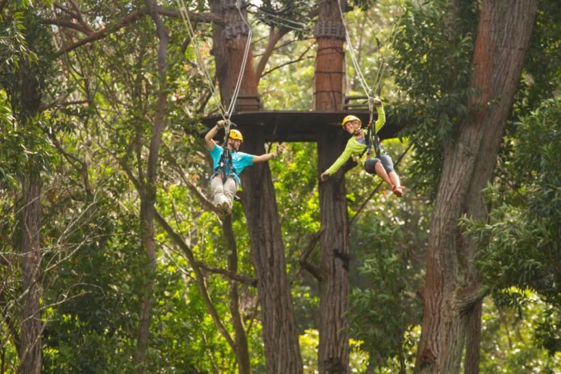 Big Island: Full-Day Kohala Zipline and Waterfall Adventure - The Value of This Tour