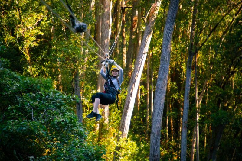 Big Island: Full-Day Kohala Zipline and Waterfall Adventure - Key Points