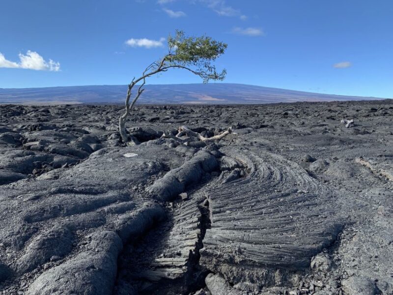Big Island: Full-Day Sightseeing & Waterfalls Adventure Tour - The Ideal Traveler for This Tour