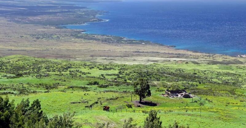 Big Island, Hawaii: Polaris Slingshot Rental - What Makes This Experience Unique?