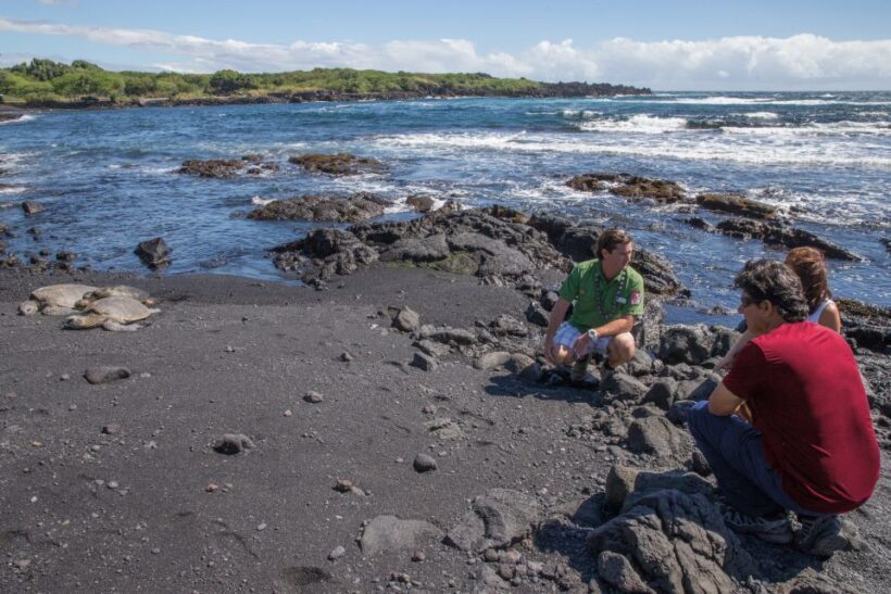 Big Island, Hawaii: Volcano and Stargazing Tour with Dinner - The Role of Guides and Reviews