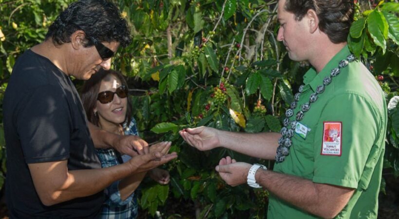 Big Island, Hawaii: Volcano and Stargazing Tour with Dinner - FAQ