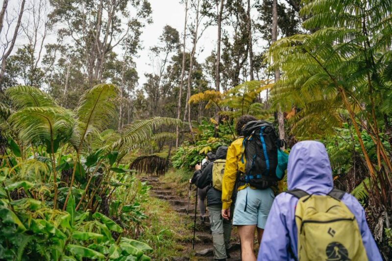 Big Island: Hawai'i Volcanoes National Park Guided Hike - The Value of Included Food and the Tour Itself
