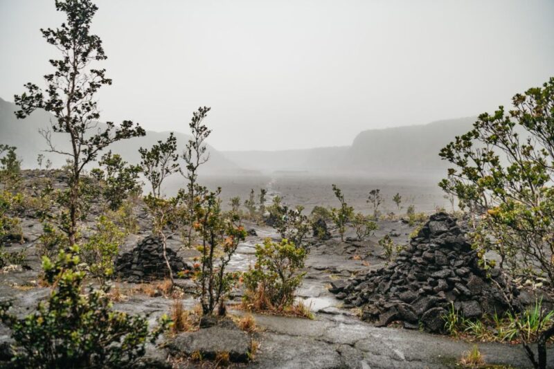 Big Island: Hawai'i Volcanoes National Park Guided Hike - Practical Details to Know