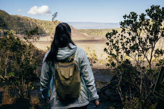 Big Island Highlights: Coffee, Volcano, Black Sands & Waterfall - Who Should Consider This Tour?