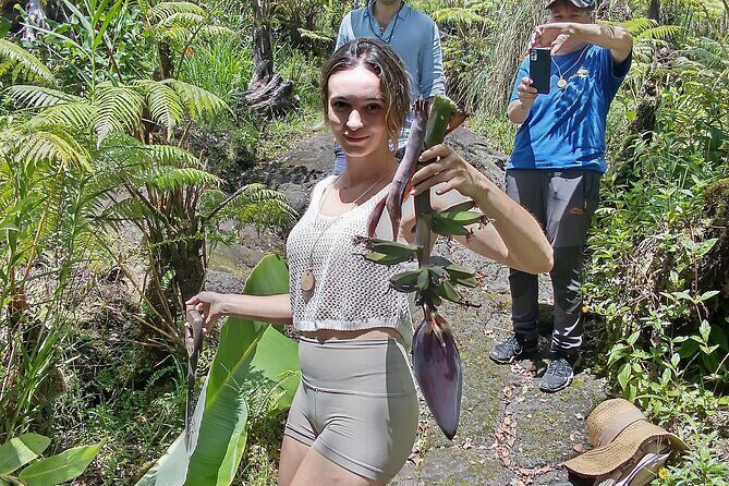 Big Island Jungle Tour with Banana and Guava Green Tea - Start: Paradise Unplugged – Banana and Tiki Collection