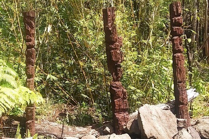 Big Island Jungle Tour with Banana and Guava Green Tea - Outdoor Art Gallery and Tiki Carving