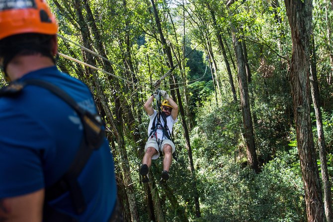 Big Island Kohala Canopy Zipline Adventure - The Sum Up: Is It Worth It?