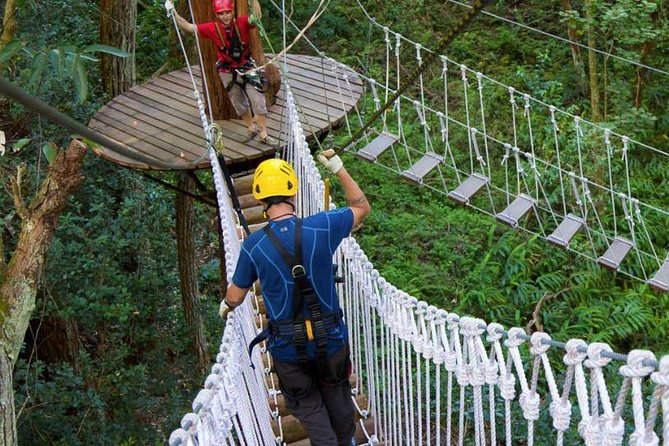 Big Island Kohala Zip and Dip Tour From Kona - Ziplining the Kohala Canopy