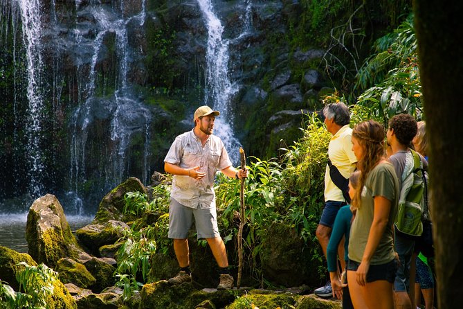 Big Island Kohala Zip and Dip Tour From Kona - Picnic Lunch With Local Treats