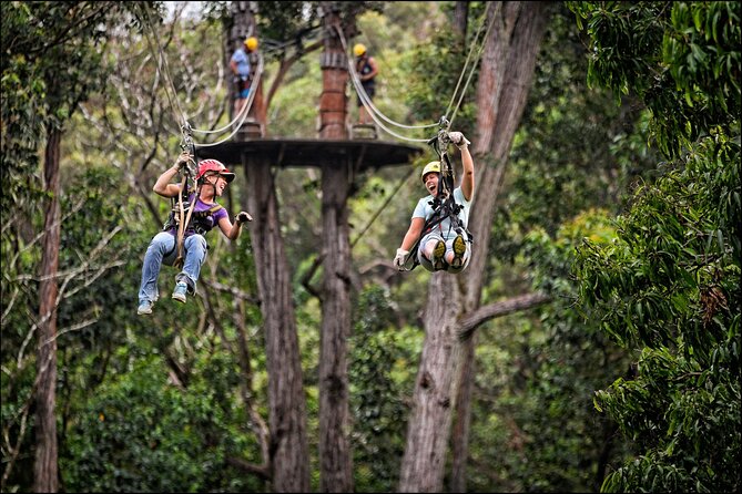 Big Island Kohala Zip and Dip Tour From Kona - Traveler Feedback