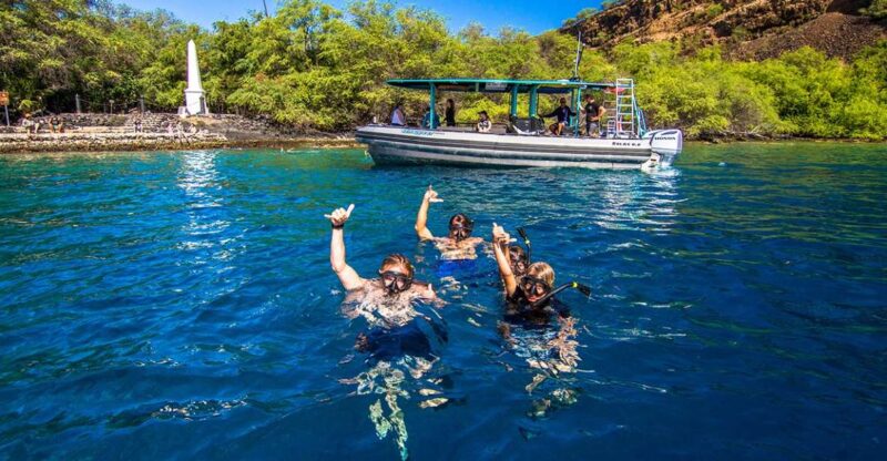 Big Island: Kona Half-Day Boat Tour with Snorkeling & Lunch - Authentic Insights from Past Participants