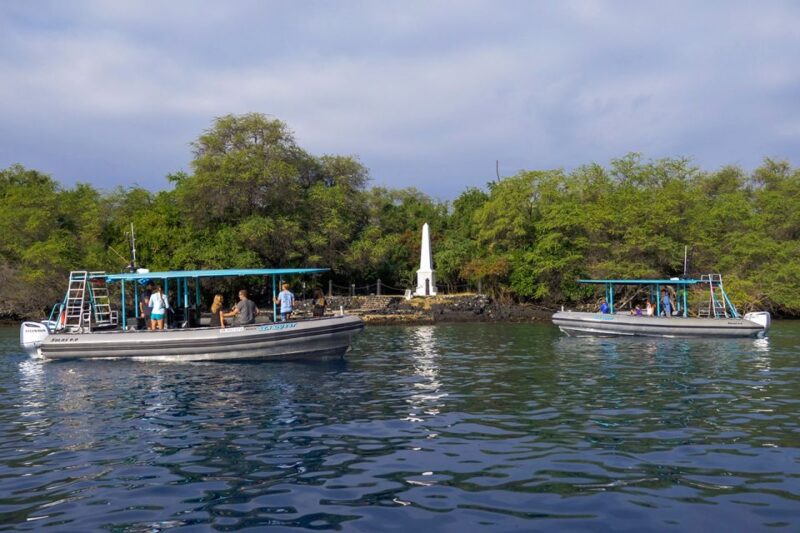 Big Island: Kona Half-Day Boat Tour with Snorkeling & Lunch - Final Thoughts: Is This Tour Right for You?