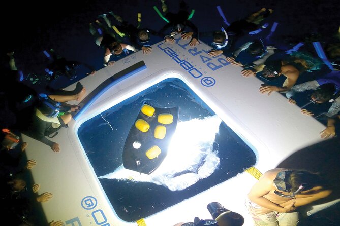 Big Island, Kona Manta Ray Night Snorkel Tour - The Itinerary in Detail