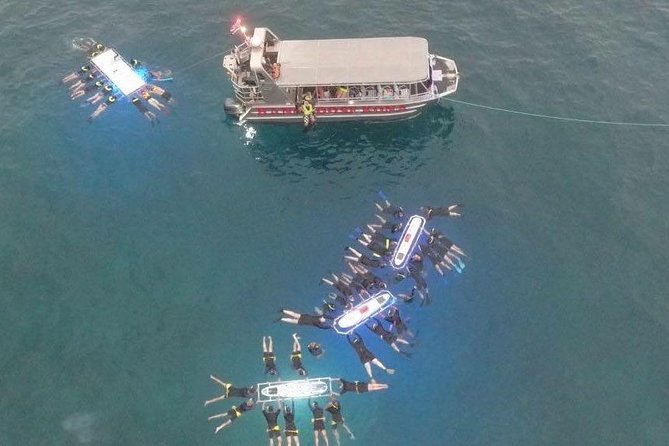 Big Island Manta Ray Night Snorkel - The Challenges and Considerations