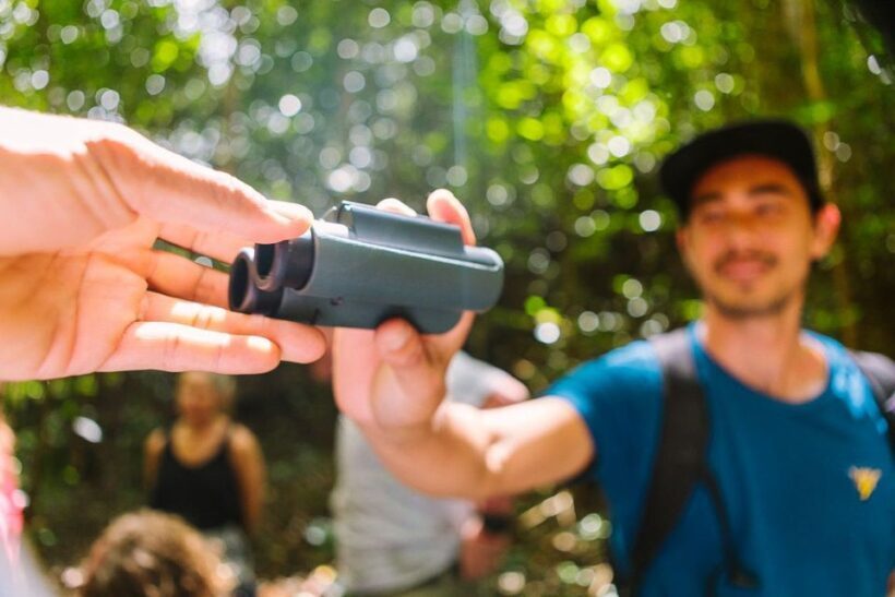 Big Island: Native Bird Watching & Hiking Tour - Introduction: Why This Tour Might Be the Experience You’re Looking For