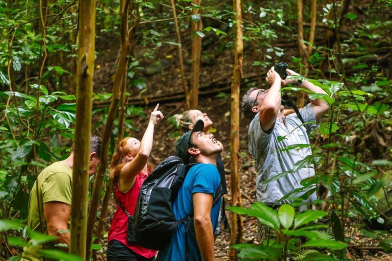 Big Island: Native Bird Watching & Hiking Tour - The Authenticity and Educational Value
