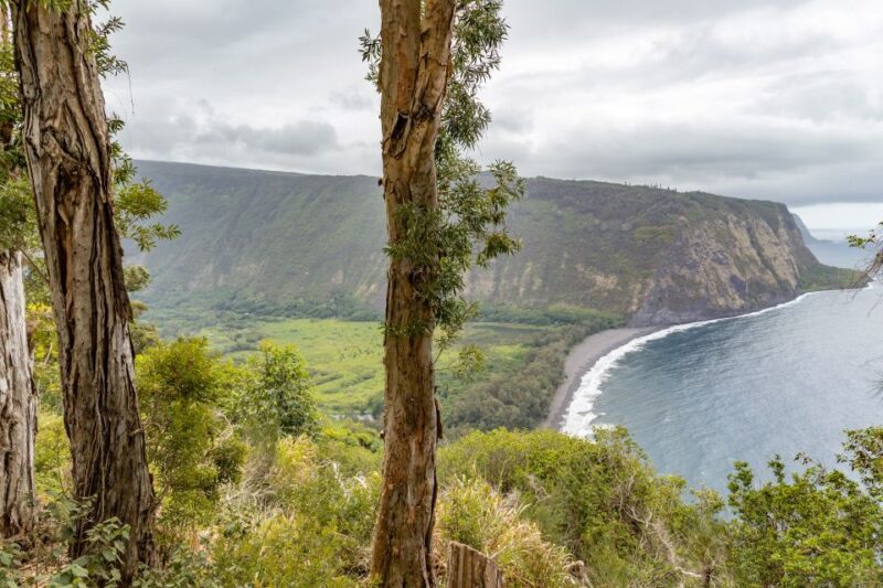 Big Island: Private Island Circle Tour with Lunch and Dinner - Who Should Book This Tour?