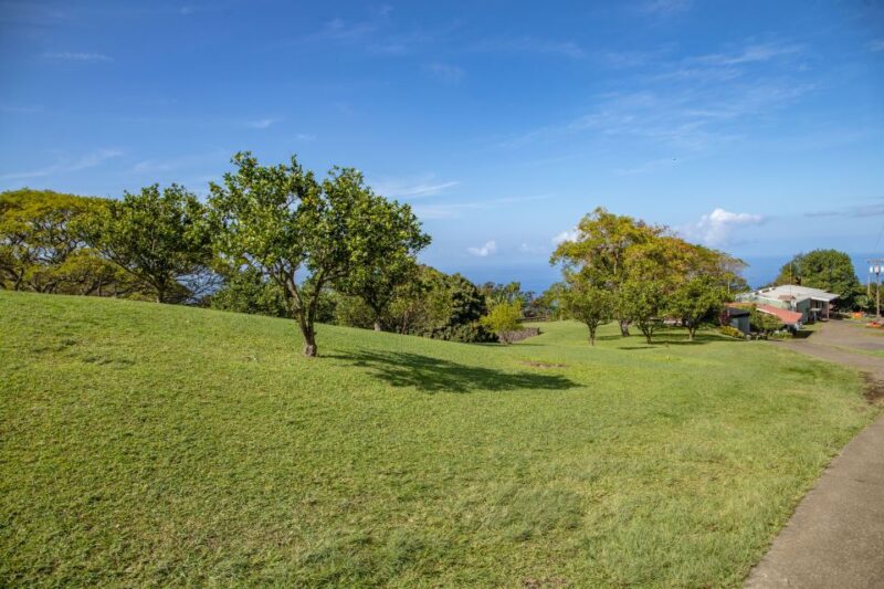 Big Island: Private Island Circle Tour with Lunch and Dinner - Final Words