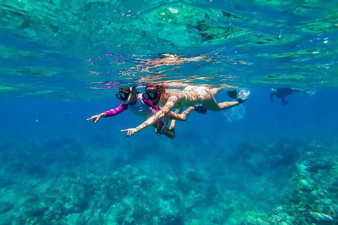Big Island Snorkel Cruise from Waikoloa - The Sum Up: Is It Worth It?