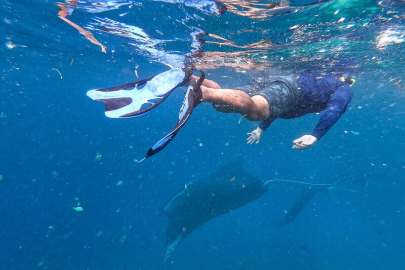 Big Island: Snorkel with Manta Rays - Manta Guarantee - The Experience Through the Eyes of Past Travelers