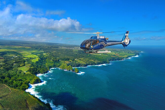 Big Island Spectacular Helicopter Tour - Check-in Process and Accessibility