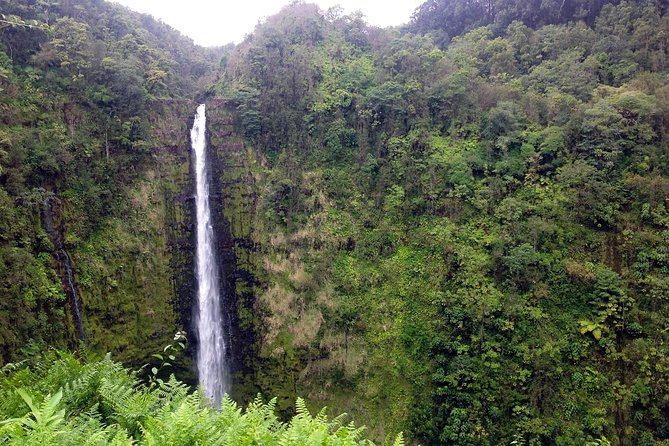 Big Island Volcano Adventure from Kona: Small Group - Logistics and Cost-Benefit Analysis
