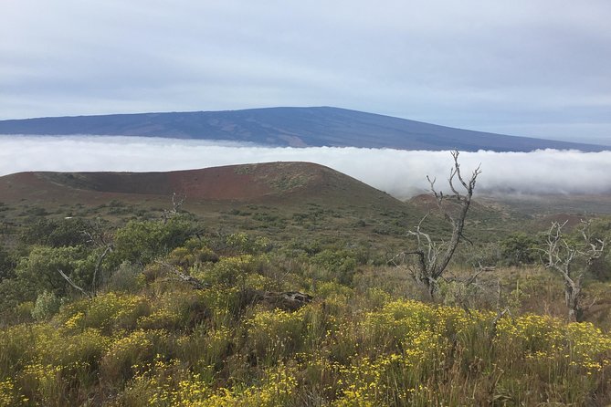 Big Island Volcano Adventure from Kona: Small Group - FAQs
