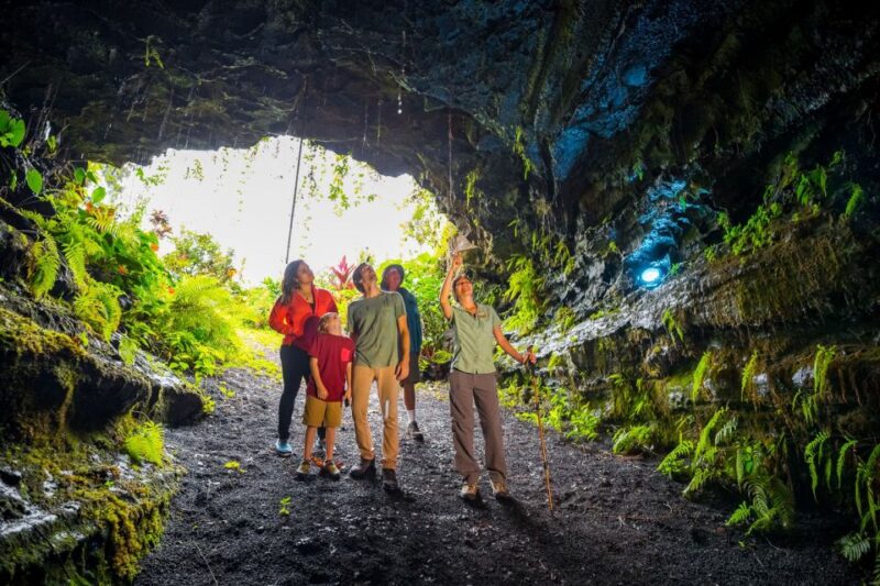 Big Island: Volcano, Chocolate & Waterfall Adventure - Final Thoughts: Who is This Tour Best For?