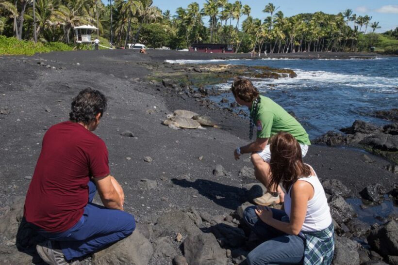 Big Island: Volcanoes, Waterfalls, & Coffee Farm Day-Trip - Key Points