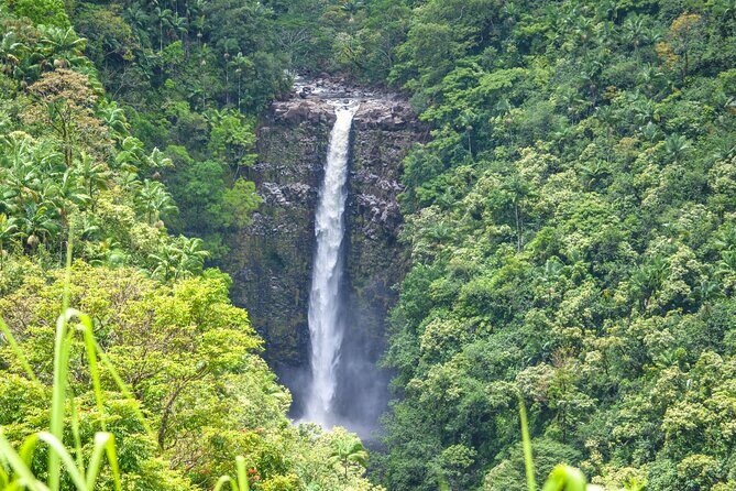 Big Island Waterfall Swim and Hike with Hilo Cruise Ship Pickup - The Guide and Personalization