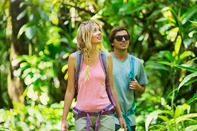 Big Island Waterfall Swim and Hike with Hilo Cruise Ship Pickup - What to Bring and Wear