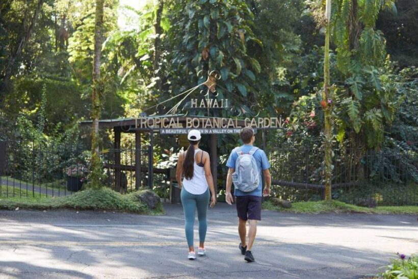 Big Island: Waterfall Tour with Swimming & Botanical Garden - The Experience of the Guides and Group Dynamics