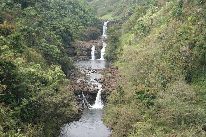 Big Island Waterfall Wonders Slingshot Private Tour - Who Should Consider This Tour?