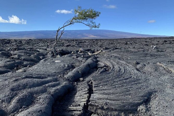 Big Island Waterfalls Tour with Swimming and Botanical Garden - Final Thoughts: Is This Tour Right for You?