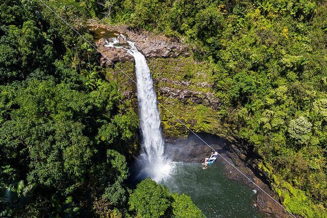 Big Island Zipline over KoleKole Falls w/ Hilo Cruise Ship Pickup - The Value and Price