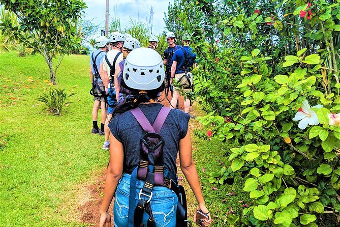 Big Island Zipline over KoleKole Falls w/ Hilo Cruise Ship Pickup - The Experience for Different Travelers