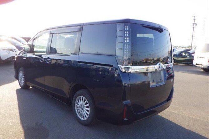 Big Mam Taxi and Private Island Tours - Introducing Big Mam Taxi and Private Island Tours: A Practical Choice for Exploring St. Lucia