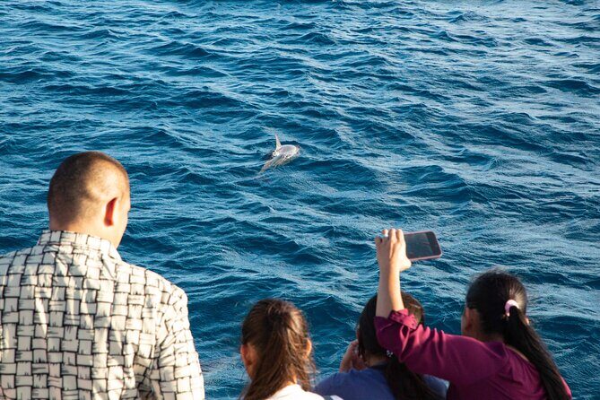 BIG Sunset Cruise - Dinner & Dolphin Watching in Guam - A Relaxing Evening on Guam’s Big Sunset Dinner Cruise