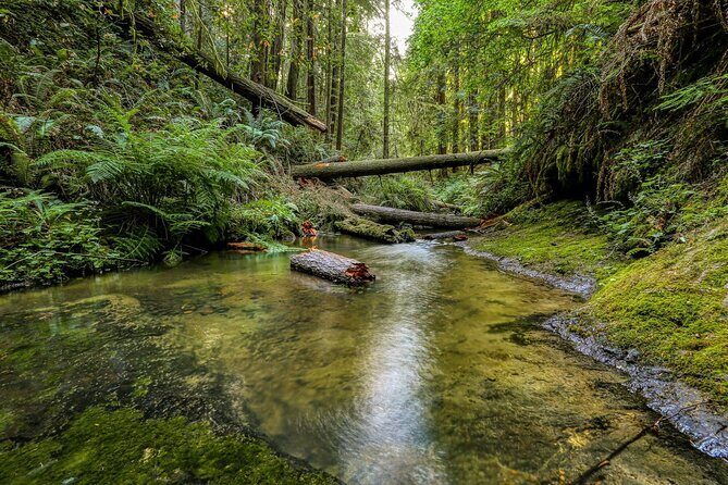 Big Sur California Coast McWay Falls opt from Monterey Carmel - The Sum Up