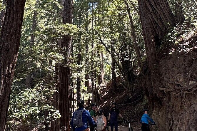 Big Sur Electric Bike Tour Along Old Coast Road - Logistics and Practical Tips