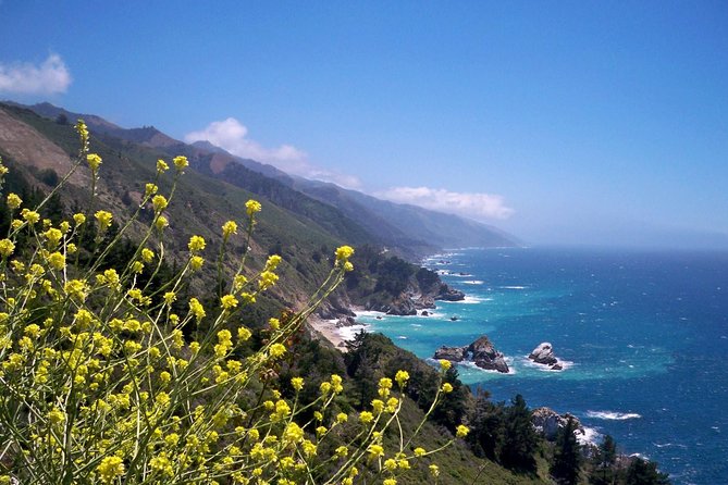 Big Sur Monterey California Coast from San Jose 1 - 12 people - Who This Tour Suits Best