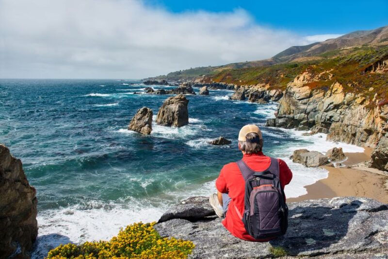 Big Sur: Sightseeing Tour with 4 to 5 Stops - Who Is This Tour Best Suited For?