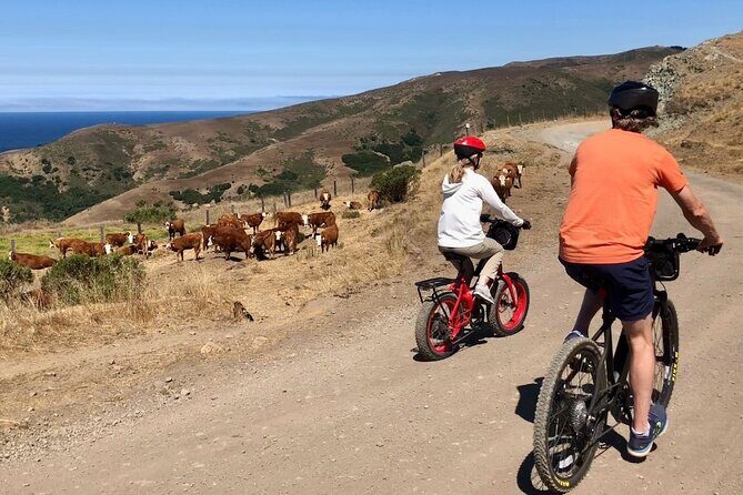 Big Sur's Old Coast Road eBike Tour - An Overview of the Big Sur eBike Tour