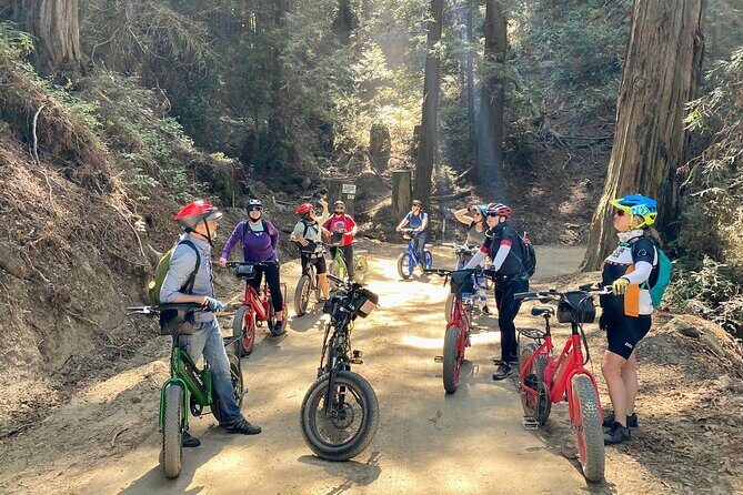Big Sur's Old Coast Road eBike Tour - Authentic Feedback from Travelers