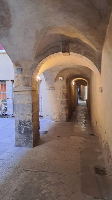 Big traboules in Little Lyon : private walking tour - Practical Details and Considerations