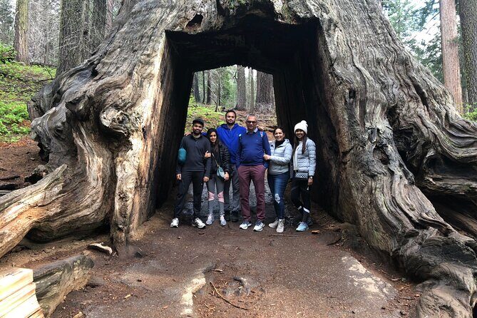 Big Trees Hike & Riverside Cookout Adventure - What to Expect from the Yosemite Giant Sequoia Hike