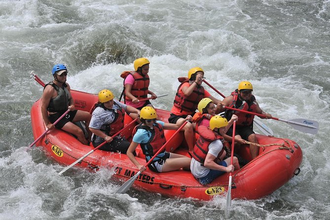 Bighorn Sheep Canyon (FREE Lunch, Digital Photo, and Wetsuit Use) - Scenic Views and Wildlife Sightings