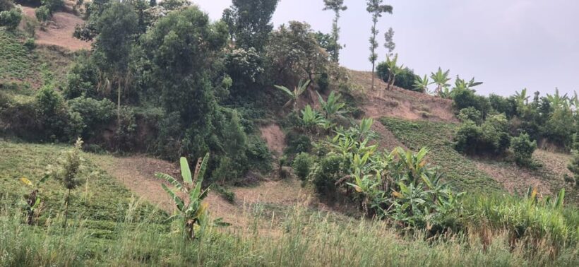BIGOGWE : Rock Climbing and Cow Milking & Corn Roasting Tour - Key Points